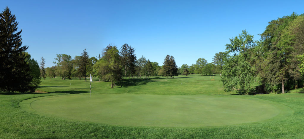 Springdale Golf Club – Golf is Beautiful