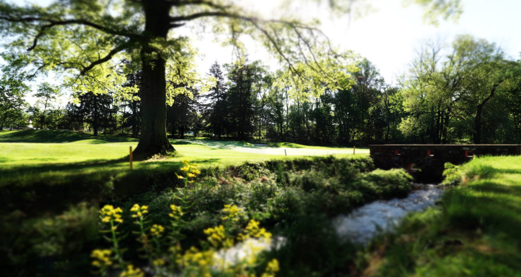 Springdale Golf Club – Golf is Beautiful