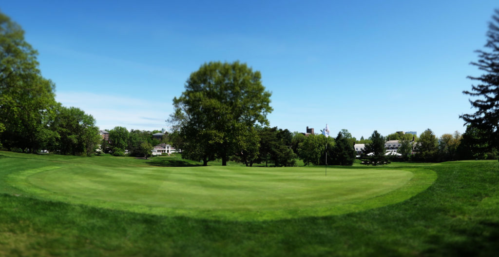 Springdale Golf Club – Golf is Beautiful