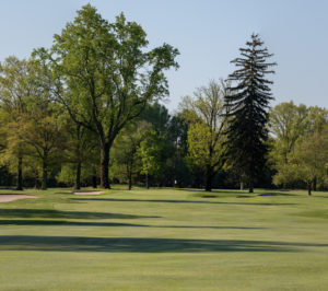 Springdale Golf Club – Golf is Beautiful